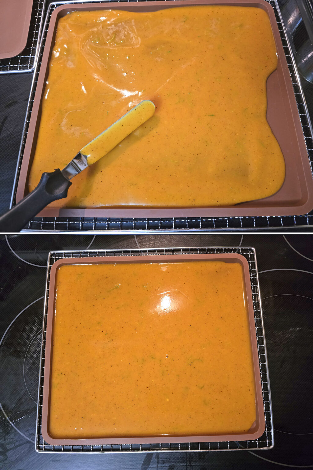 Chili Lime Mango Fruit Leather Recipe [Mango Fruit Roll-Ups] - Dried ...