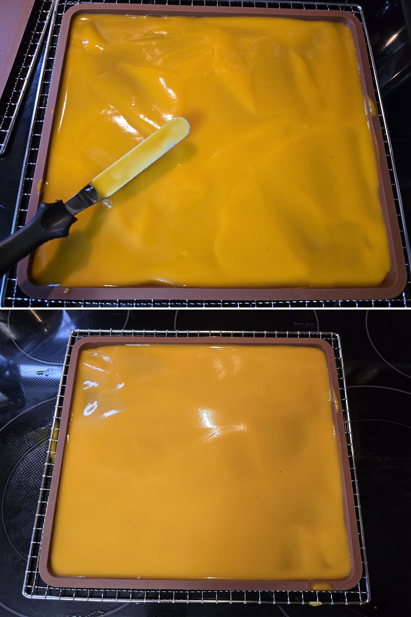 Homemade Mango Fruit Leather Recipe [Fresh Fruit Roll-Ups!] - Dried and ...