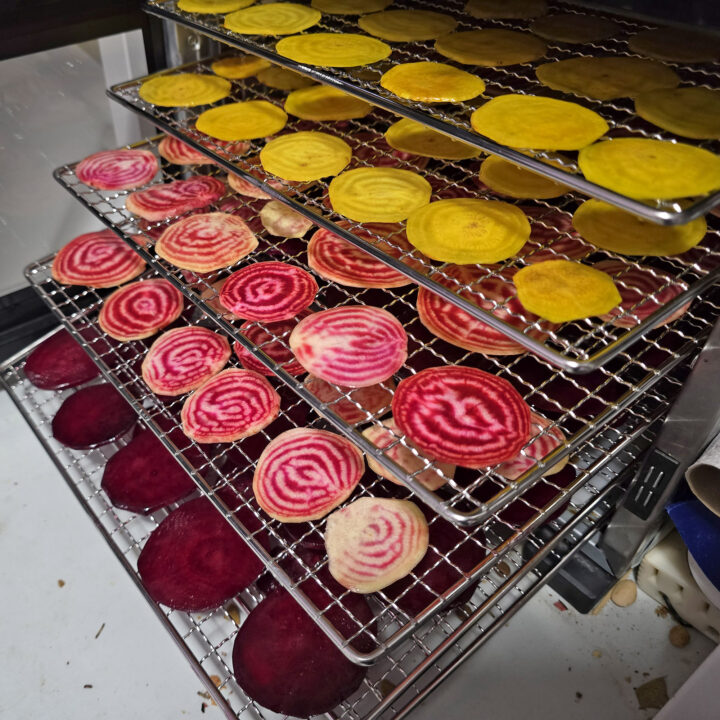 Crispy Beet Chips Recipe [Food Dehydrator Recipe] - Dried and Tasty